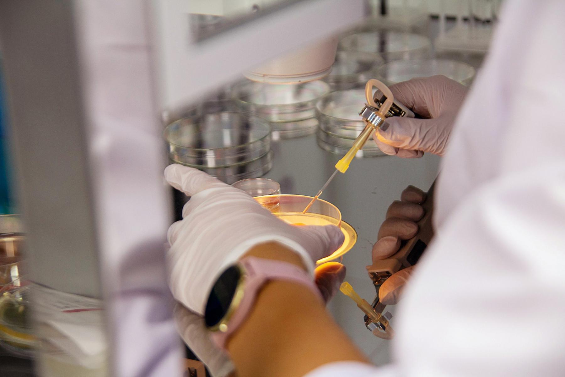 WCOB - More than a surrogacy agency, more than a fertility clinic